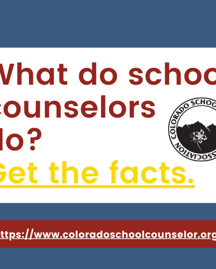 Colorado School Counselor Association